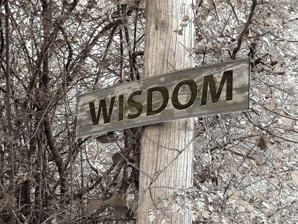 Wisdom From Above | More To Life