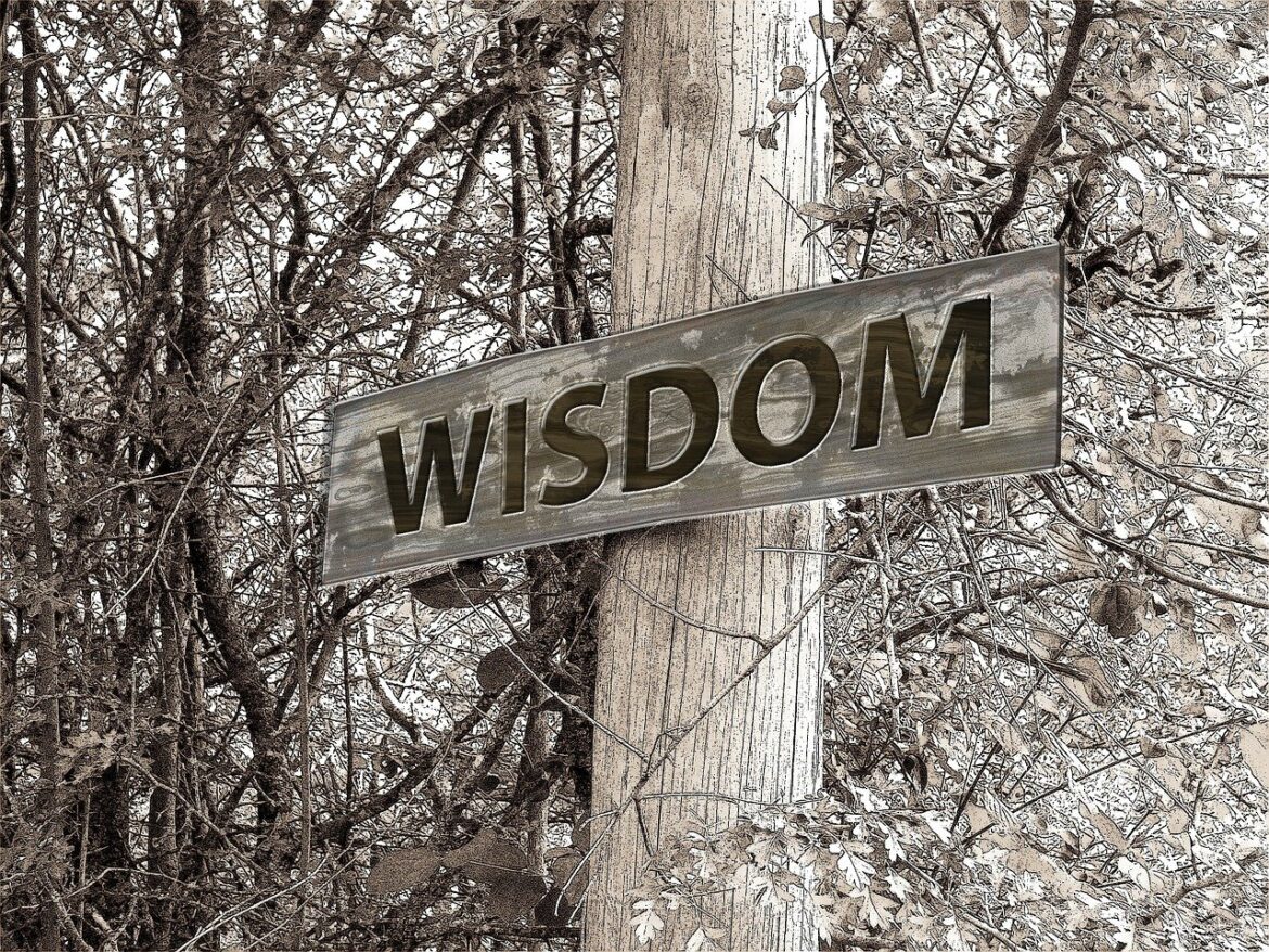 wisdom-from-above-more-to-life